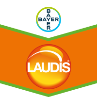 Laudis®
