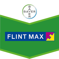 Flint® Max
