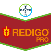 Redigo® Pro